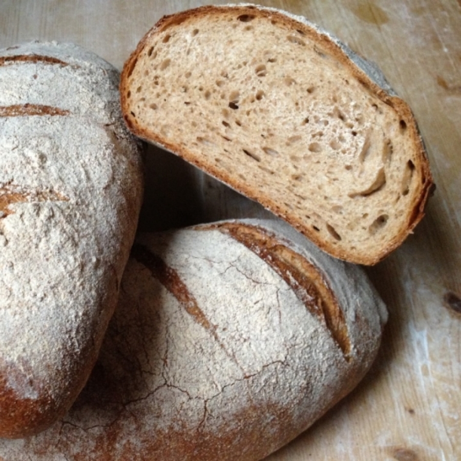 Pane 100% Integrale - Selezione Casillo